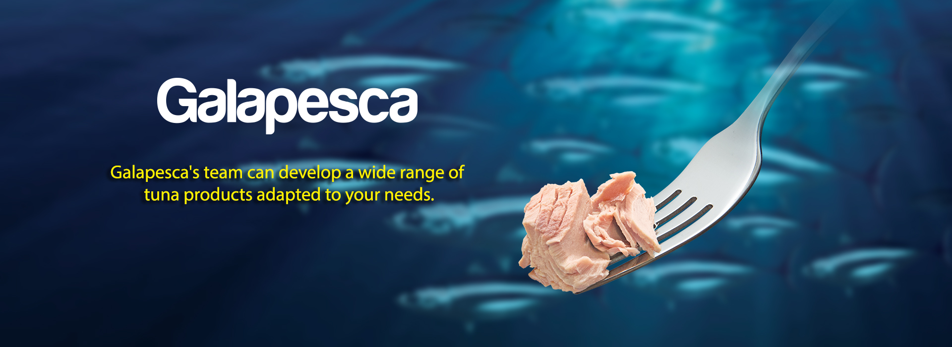galapesca Homepage | Galapesca